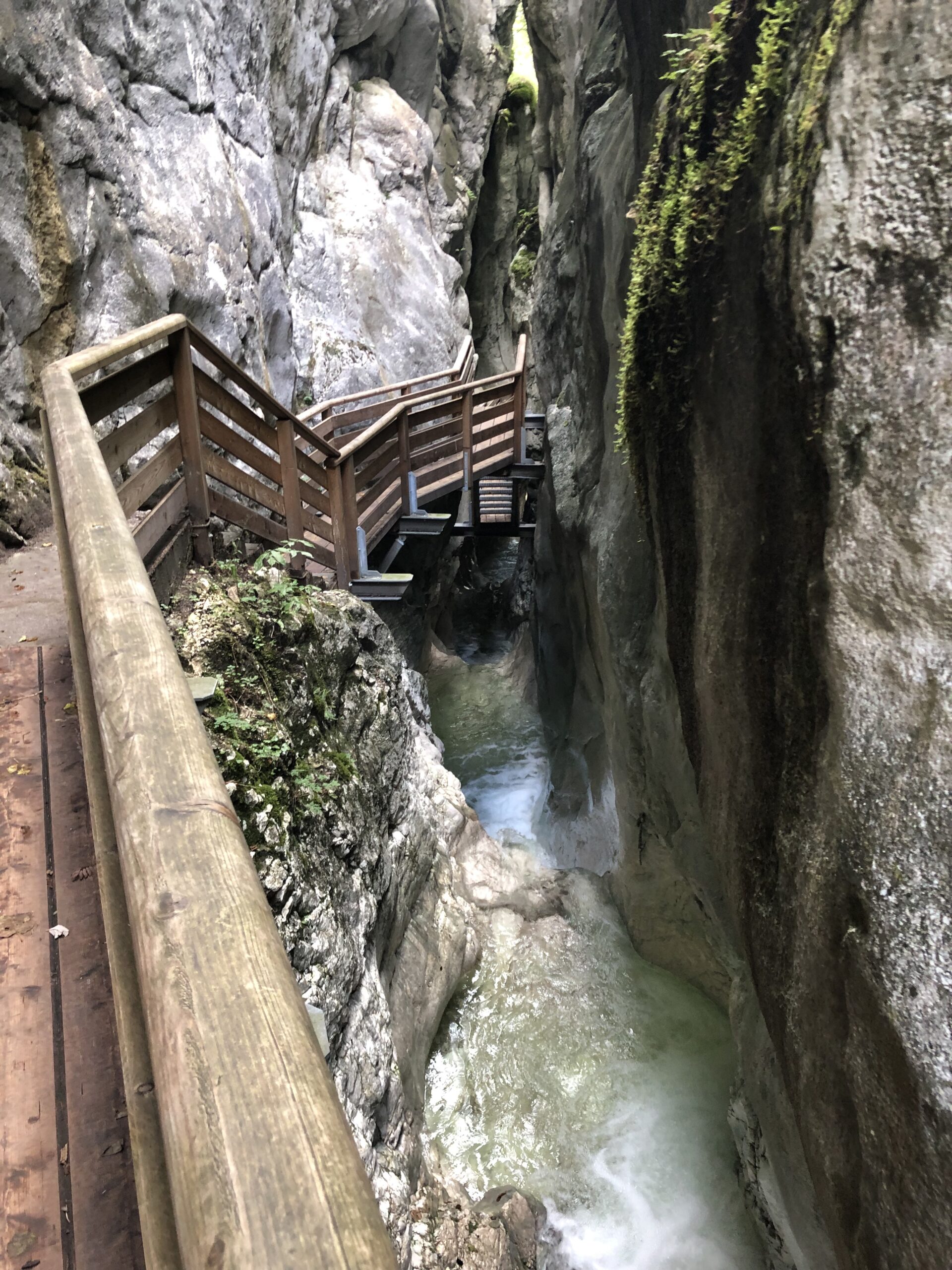 Innersbachklamm bei Unken - Bärenstark im Leben